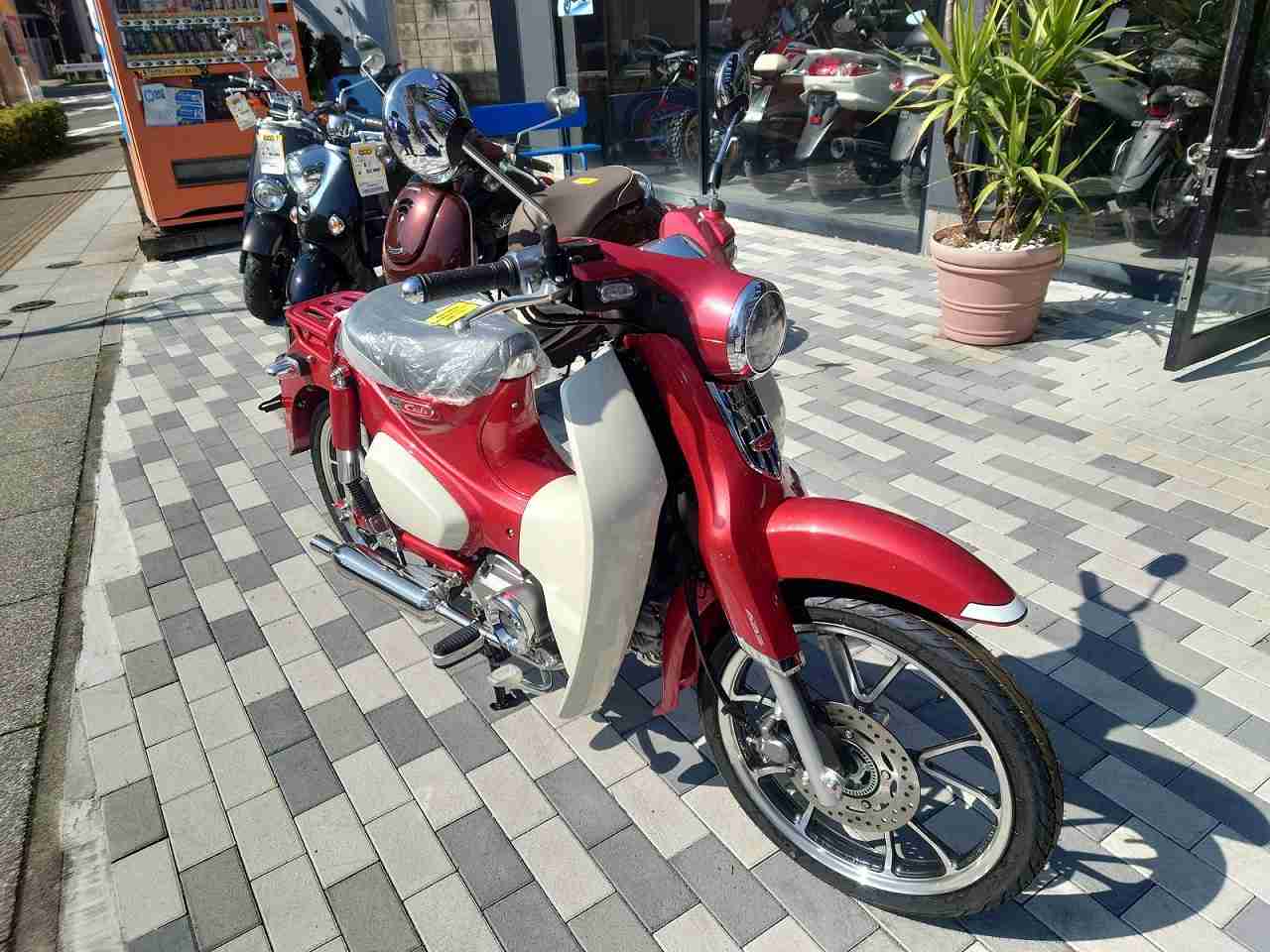 ホンダ/スーパーカブC125 カスタム [バイク探し] | U-MEDIA (ユーメディア) | - 中古バイク・新車バイク探しの決定版！神奈川・東京でバイク探すならユーメディア！