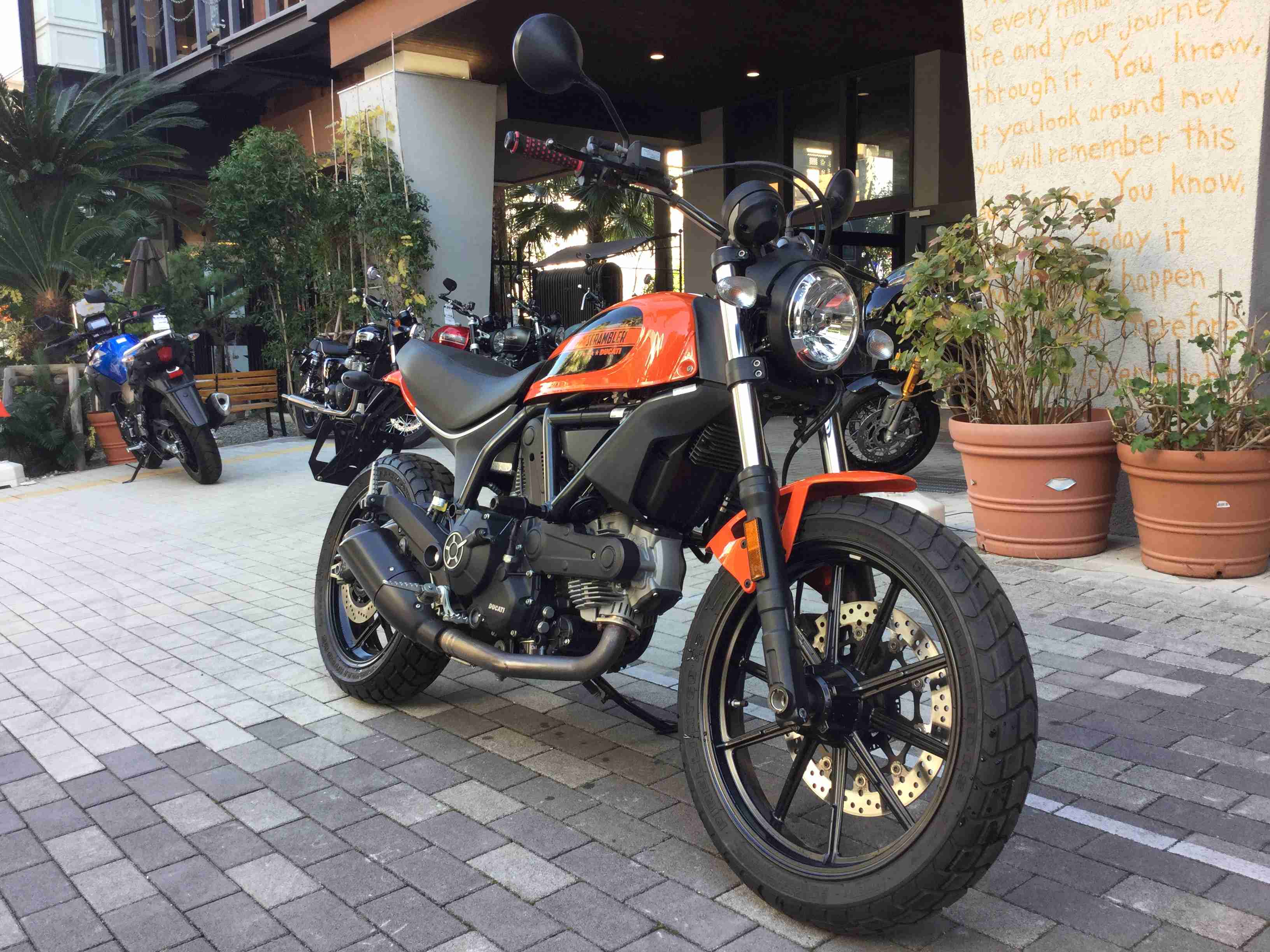 ドカティ/スクランブラーSixty2 [バイク探し] | U-MEDIA (ユーメディア) | - 中古バイク・新車バイク探しの決定版！神奈川・東京でバイク探すならユーメディア！